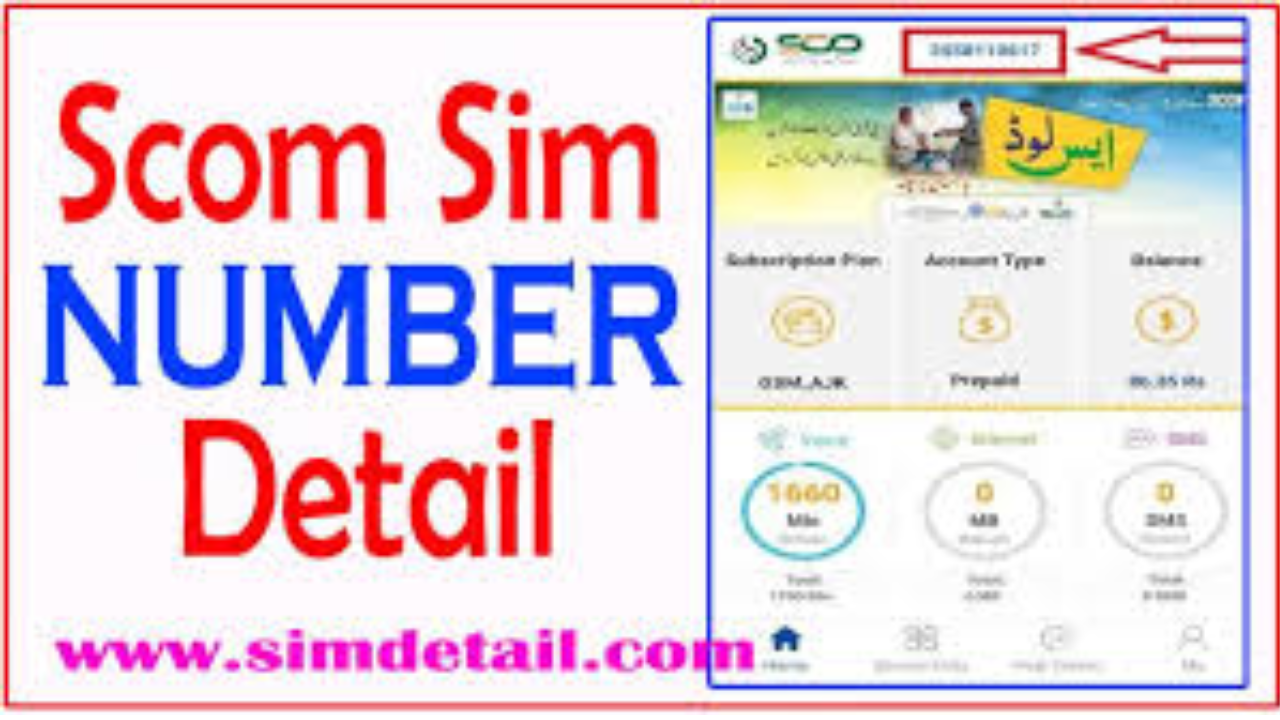 How to Check SIM Number Details in Pakistan 2024 - zotpk1
